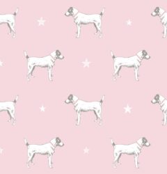 Jack All Star Pale Pink Icing Blotch Wallpaper - Peony & Sage